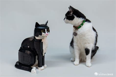 Lego Ideas Tuxedo Cat Tbb Review The Brothers Brick The Brothers Brick