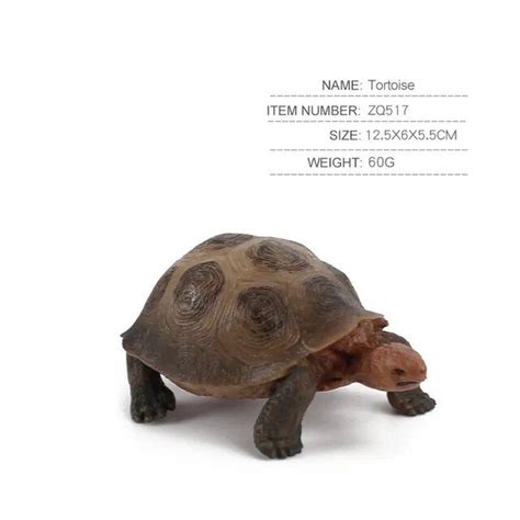 simulation land tortoise geochelone model action figures geochelone turtles miniacture