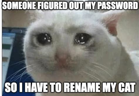25 Cybersecurity Memes For 2025 The Ultimate List Of Memes
