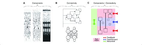 Shifting Perspectives About Cortical Layering A Nineteenth Century