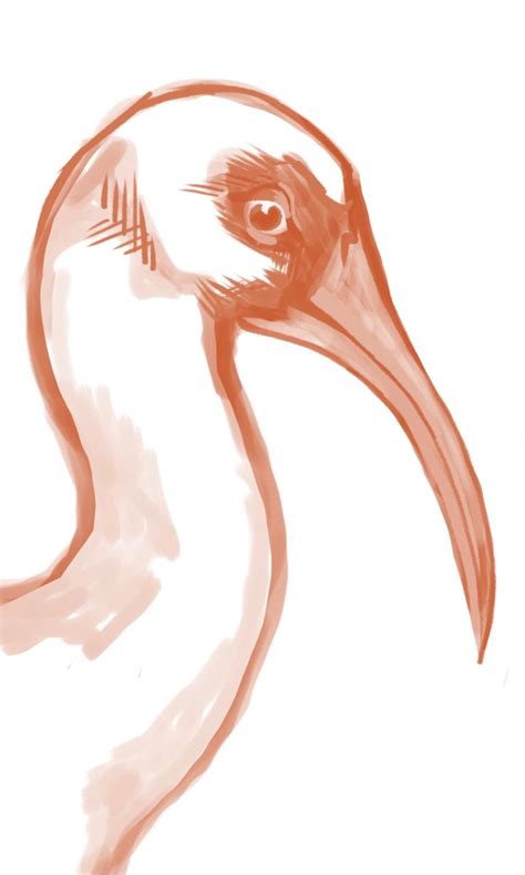Julie Toich On Linkedin Digitalillustration Sketches Wildlife
