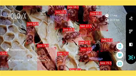 Yolovx On Linkedin 🐝 Bee Detection With Ai Yolovx