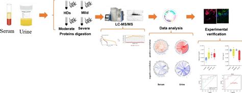 Dia Quantitative Proteomics Analysis Service Mtoz Biolabs