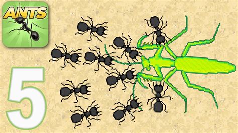 Где взять тлю pocket ants - фото
