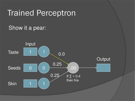 Trained Perceptron Demonstration Ppt Download