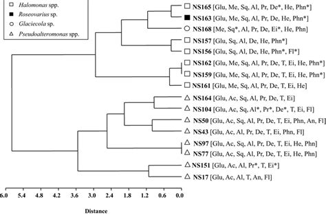 Generalist Hydrocarbon‐degrading Bacterial Communities In The Oil‐polluted Water Column Of The