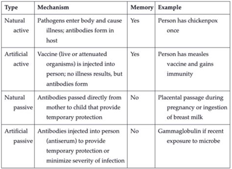 Immunity Flashcards Quizlet