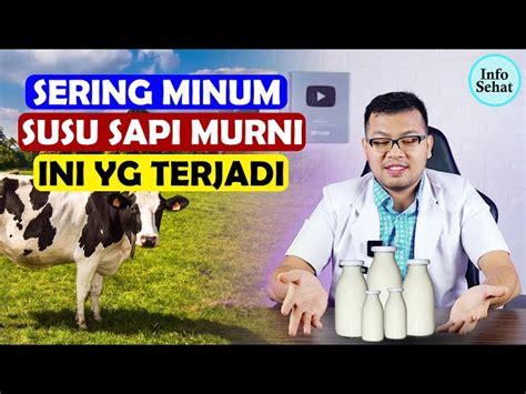 Temukan 5 Manfaat Susu Sapi Asli Yang Jarang Diketahui Biotifor