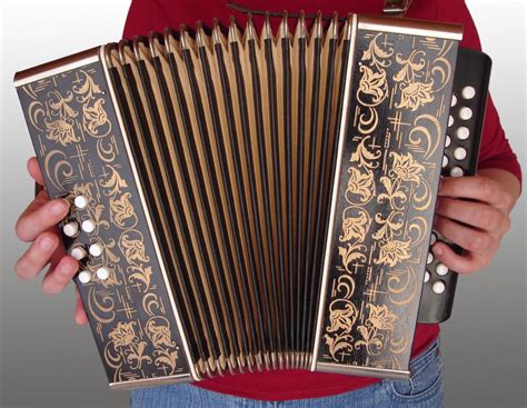 How Do I Choose The Best Beginner S Accordion With Picture