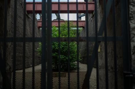 Beginner The Plant Doesnt Seem As Sharpcrisp As Id Like It To Be