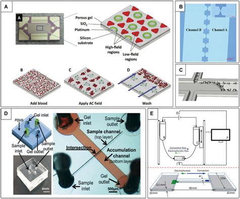 A Ac Electrokinetic Microarray Device Operation Developed By Hellers