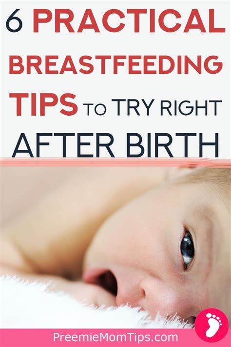 Review Of Plant Based Milks For Breastfeeding Moms Artofit