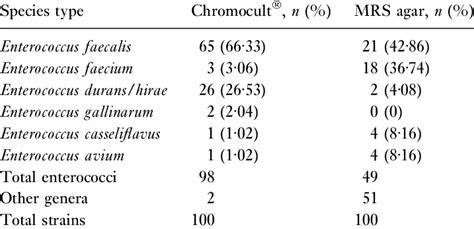 Enterococcus Species