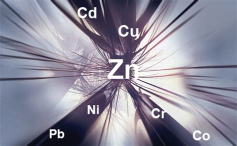 Understanding Toxins Types And Ways To Eliminate Mytour