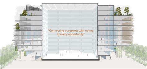 Morphogenesis On Linkedin Mprocess Morphogeesis Architecture