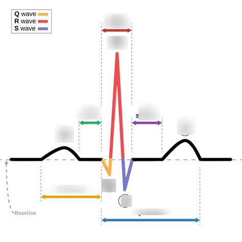 Aandp 2 Lab 4 Ekg Labling Diagram Quizlet