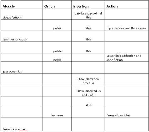 Muscle Origin Insertion And Action Quiz By Asci 111