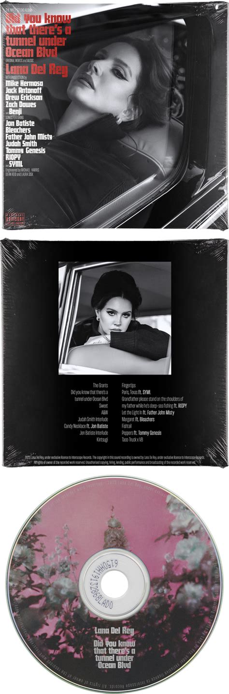 Lana Del Rey Ocean Blvd Dykttatuob By Alllp On Deviantart