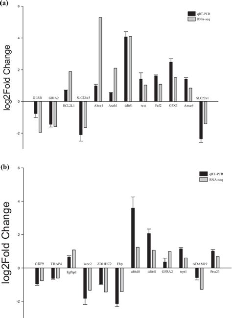 Comparison Of Gene Expression Patterns Obtained Using Comparative