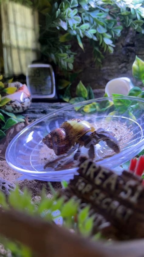 Hermie Enjoying His New Wheel The Real Question Is Does He Enjoy It Or Is He Stuck I Think He