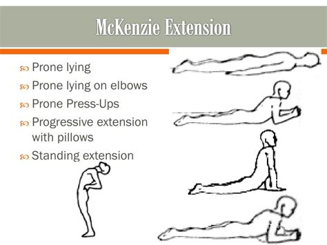 Ppt Ch 24 Spine Powerpoint Presentation Free Download Id 2266475