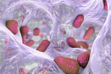鲍曼不动杆菌的生物膜插画图片下载 正版图片402319568 摄图网