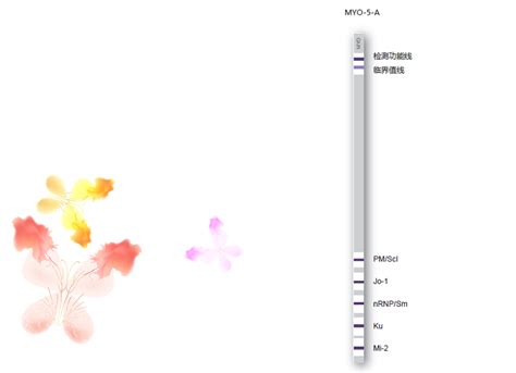 肌炎皮肌炎检测产品 斯德润诊断