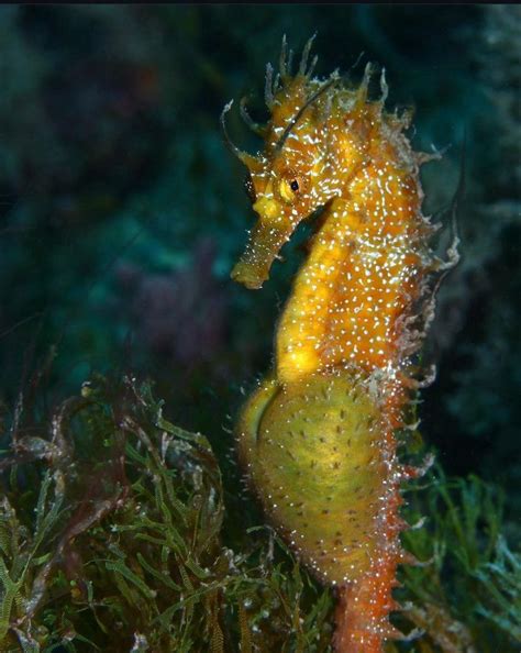 Payal Chaudhary On Linkedin Didyouknow