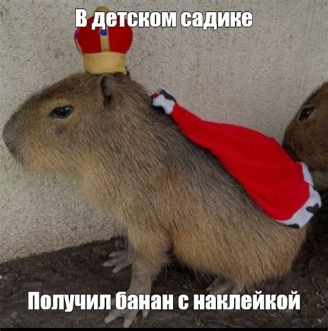 Мем В детском садике Получил банан с наклейкой Все шаблоны Meme