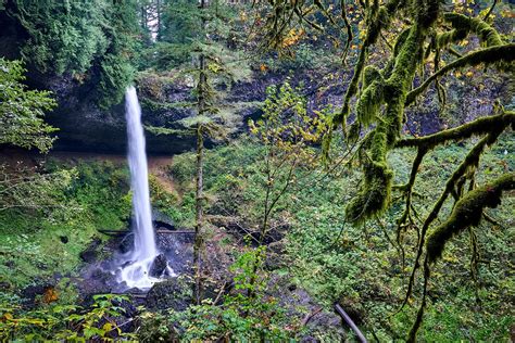 Autumn Colors In Silver Falls State Park Oregon — Duncan Neilson
