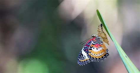 Serverless File Conversion With Matillion Etl