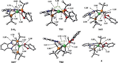 Optimized Structures Of Intermediates And Transition States In The