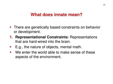 Innane Meaning What Does It Really Mean