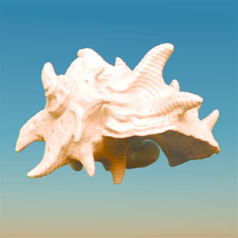 🐚 Spiky Sea Shell Fantasy Conch Shell 3d Printable Stl Obj ・ Stl