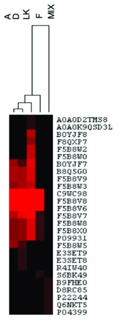 Hierarchical Clustering Analysis Hca With The Dendrogram Of The