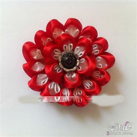 ورود باشرطة الساتان Ninakahina