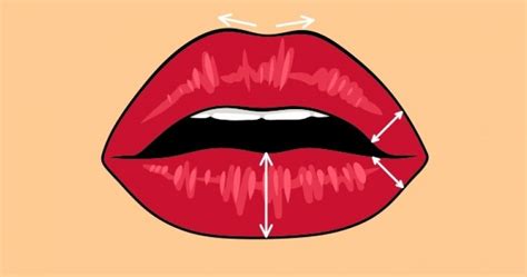 Ահա թե ինչ տեսք պիտի ունենան կանանց իդեալական շրթունքներն՝ ըստ տղամարդկանց