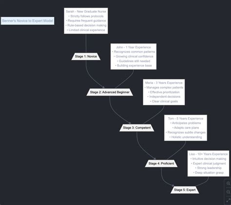 Patricia Benner Novice To Expert Theory Benners Theory