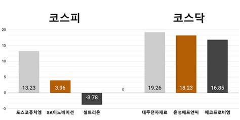 오늘의 주목주 2차전지 날 포스코퓨처엠 13대 대주전자 19대 급등
