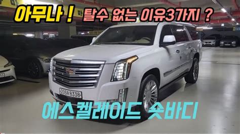 에스켈레이드 감당하실수 있겠어 Youtube