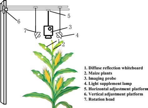 Working Principle Of Near Infrared Imaging Device The Near Infrared Download Scientific