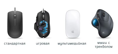 Как выбрать компьютерную мышь