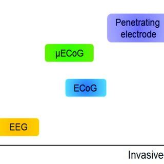A Picture Of A Clinical Electrocorticography ECoG Grid Underneath A Download Scientific