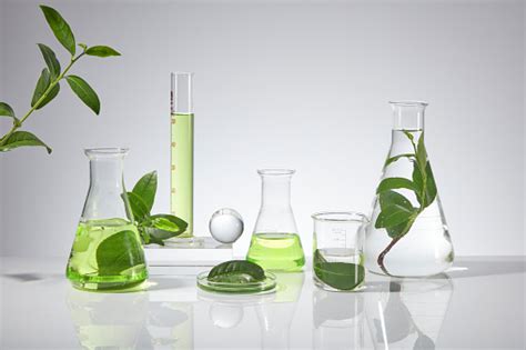 삼각 플라스크 측정 실린더 비커 및 페트리 접시를 포함한 다양한 유형의 실험실 기기가 흰색 질감에 표시되며 모든 항목은 녹색 또는 투명한 액체로 채워져 있습니다 0명에 대한