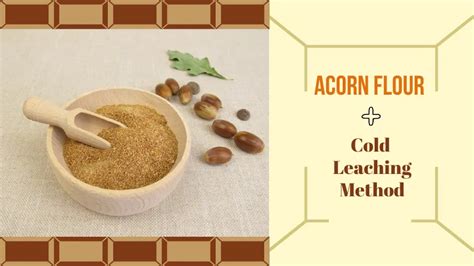 The Acorn Float Test Should Acorns Sink Or Float Nut Geeks