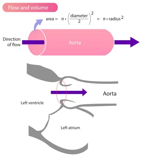 Stroke Volume Vti Velocity Time Integral And Cardiac Output