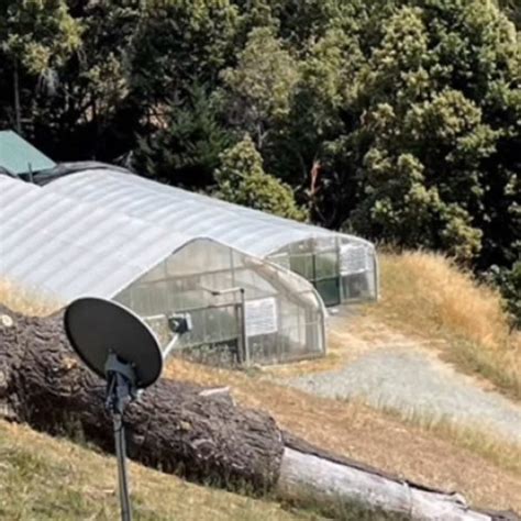 Stream Humboldt Supes Reverse Cannabis Permit Denial By Kmud News Listen Online For Free On