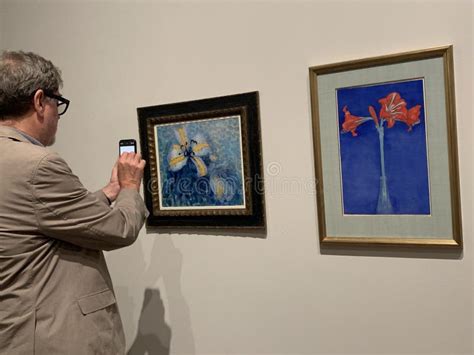 амариллис с золотой полосой и красной амариллой выставленный Питом Мондрианом в 2023 году в