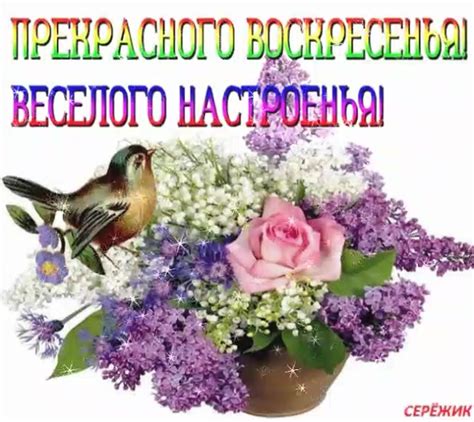 Открытки приятного воскресенья 78 фото