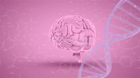 Animation Of Dna Strand Human Brain And Scientific Data Processing